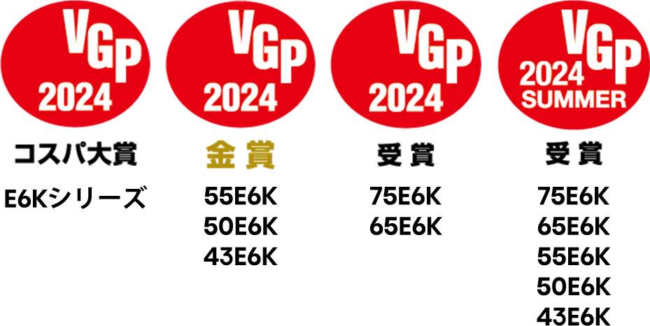 E6K | ハイセンスジャパン株式会社